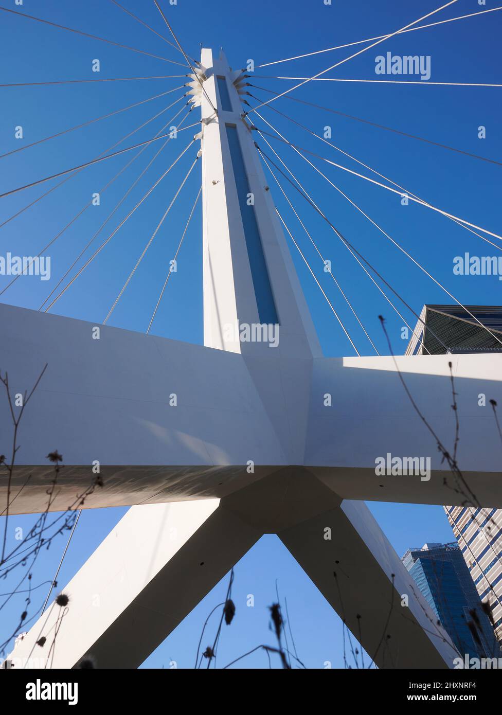 Bridge in the Songdo Central Park, Incheon, South Korea Stock Photo - Alamy