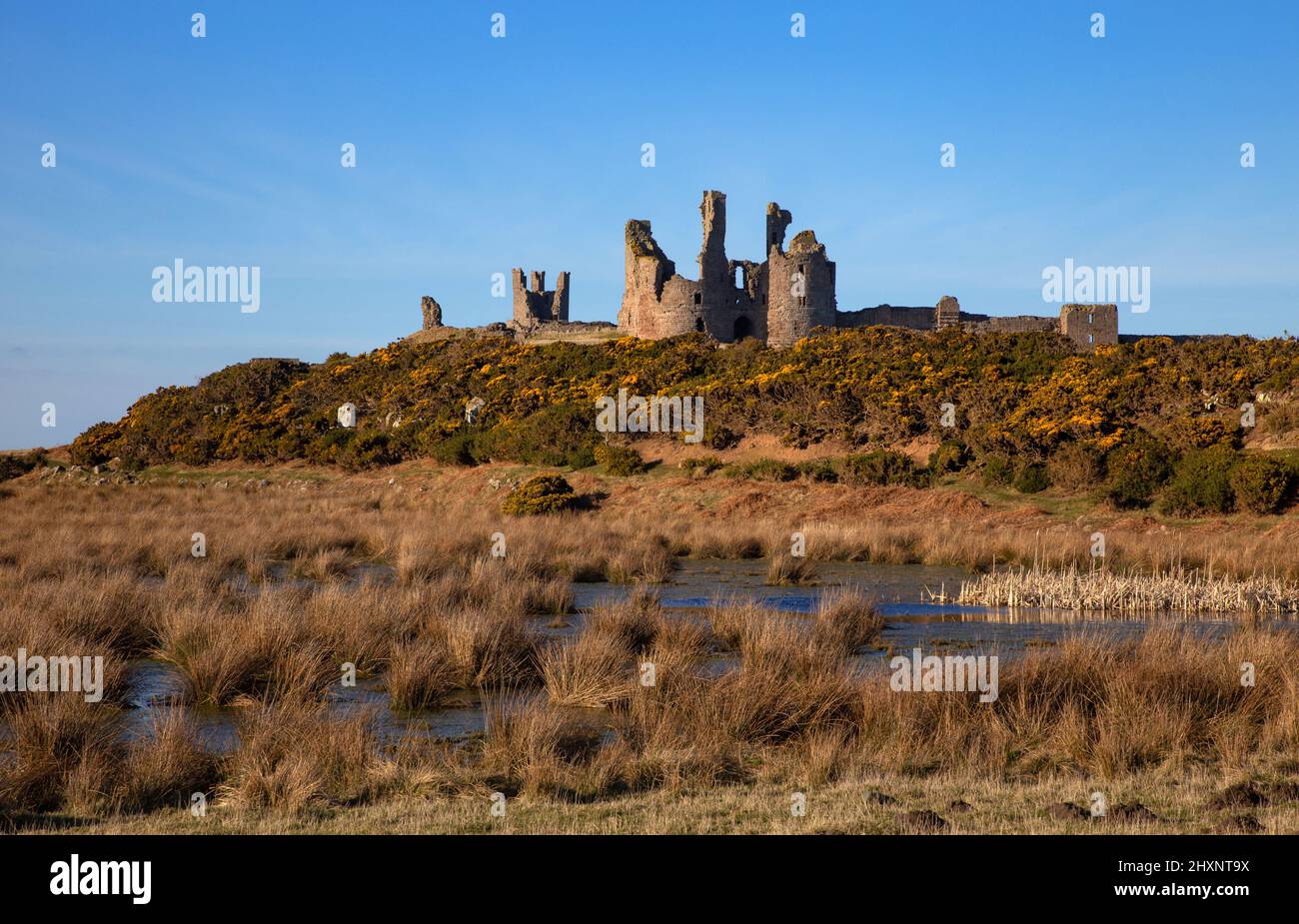 Dunstanburgh Castle and coast ,Northumberland,England Stock Photo - Alamy