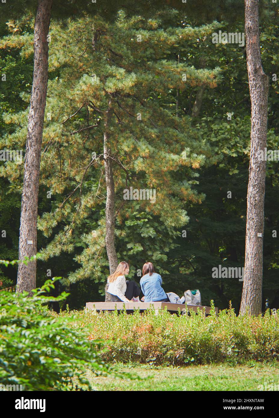 Sunny park scene hi-res stock photography and images - Alamy