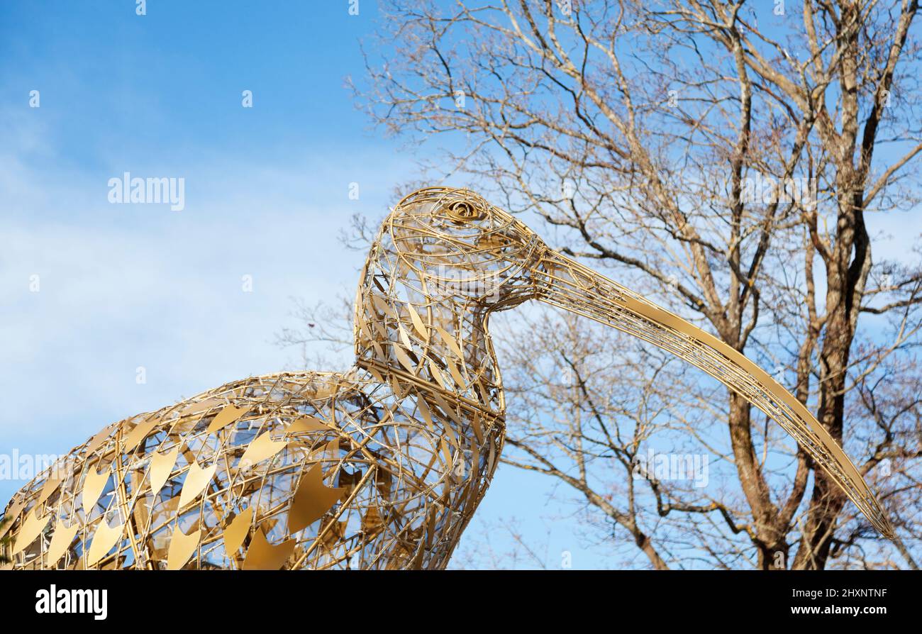 Vasterbotten county hi-res stock photography and images - Alamy