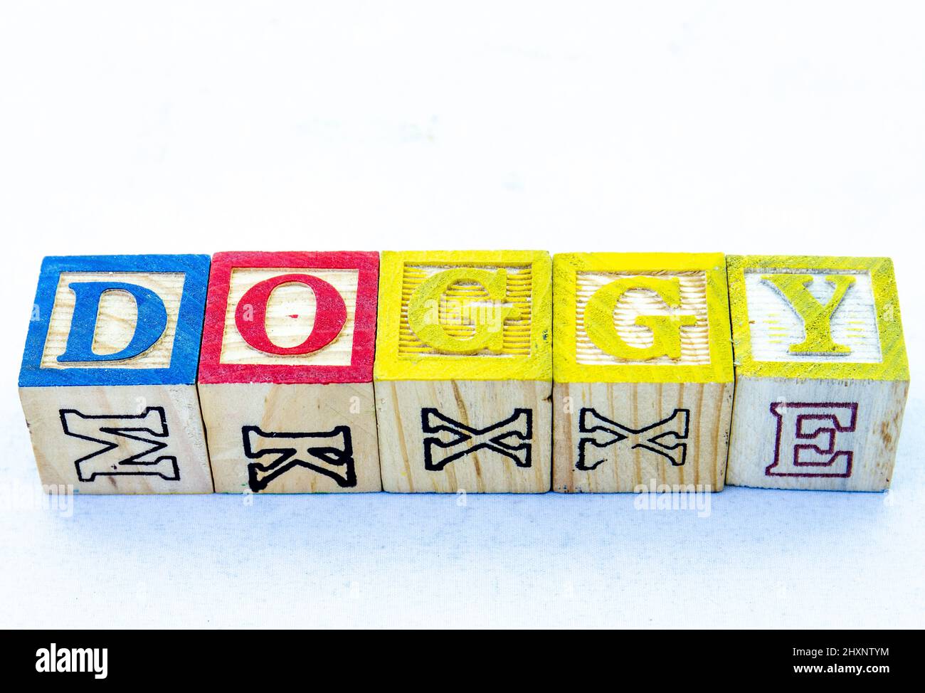 Terminology word Cut Out Stock Images & Pictures - Alamy