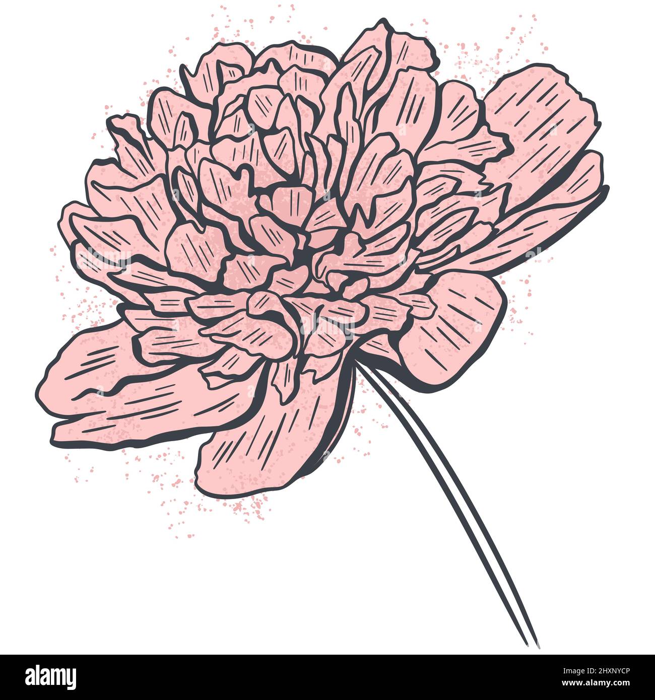 Single Flower Drawing