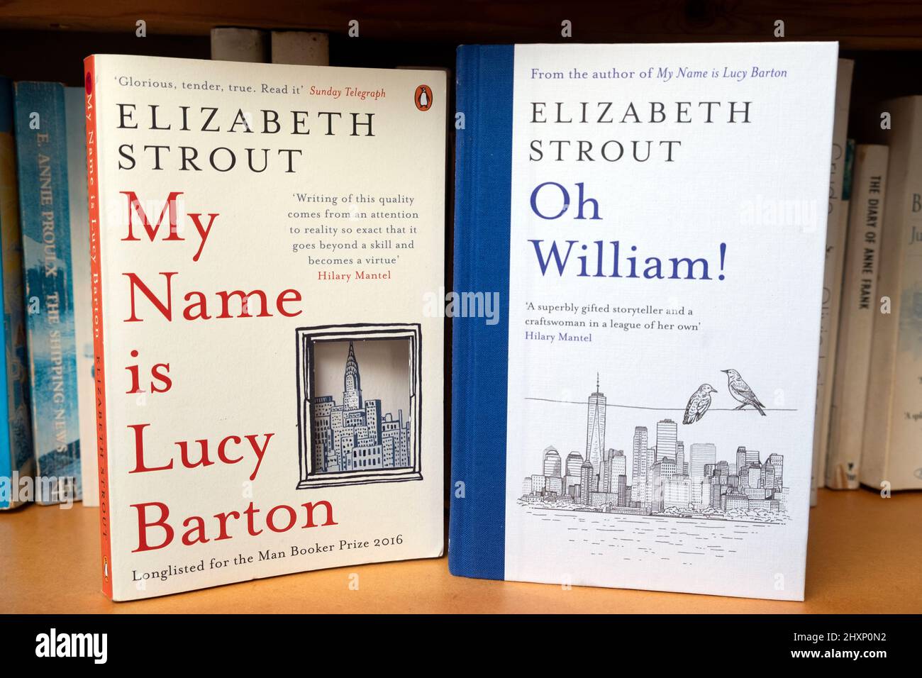 Elizabeth Strout American novelist books on book shelf My Name is Lucy ...