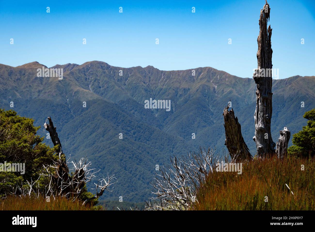 Mount Hector on the Tararua main range, from Mount Kapakapanui, Kapiti ...