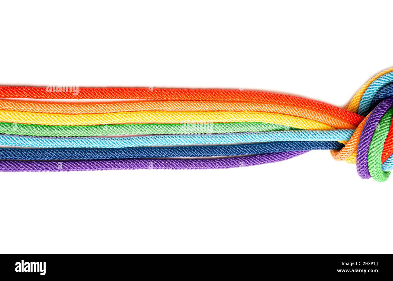 Seven rainbow dyed braided cotton cords knotted together isolated on ...