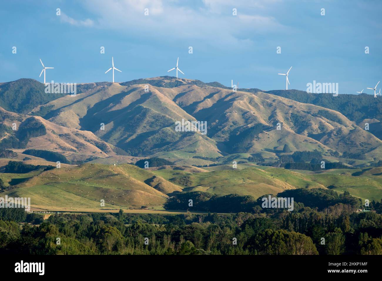 Tararua district hi-res stock photography and images - Alamy