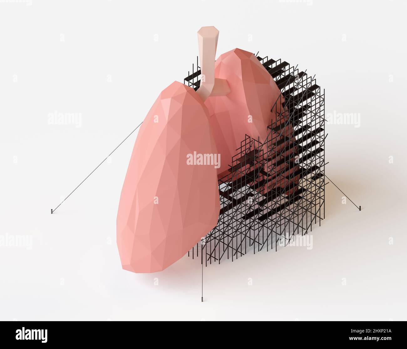3d illustration of low poly human lungs repair or treatment concept ...