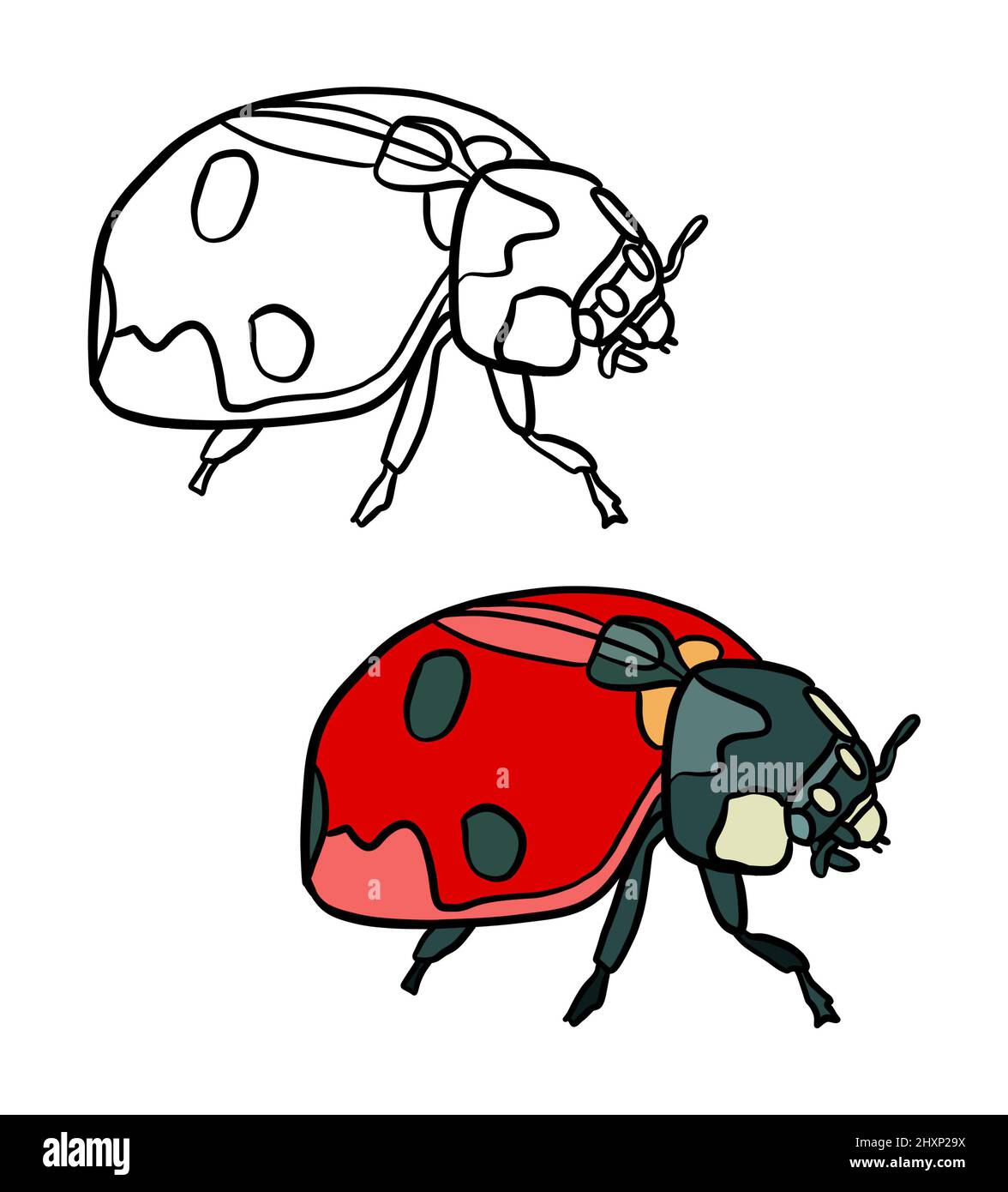 Illustration for a coloring book in color and black and white. Drawing ...