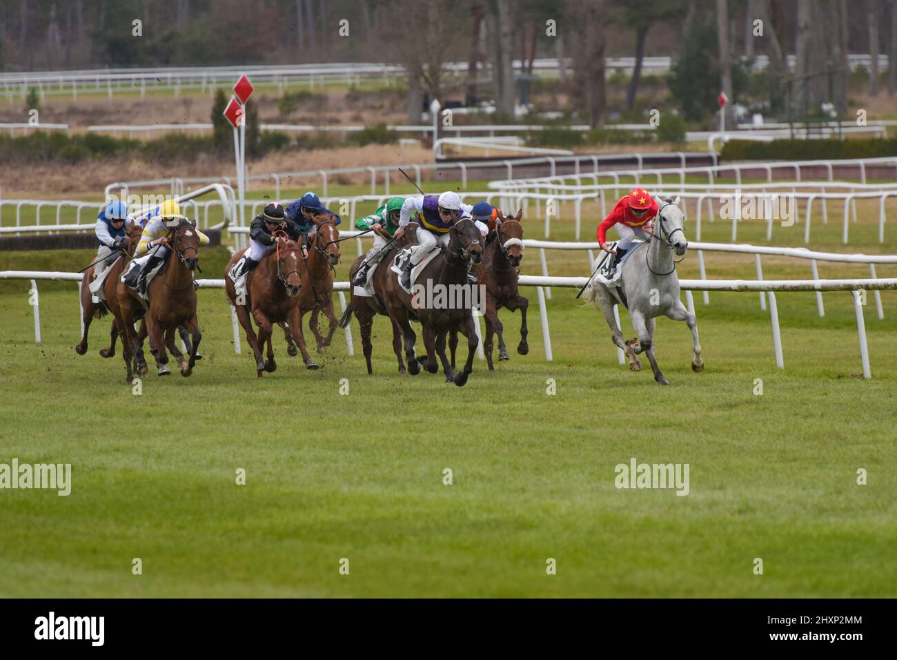 Hippodrome de fontainebleau hi-res stock photography and images - Alamy