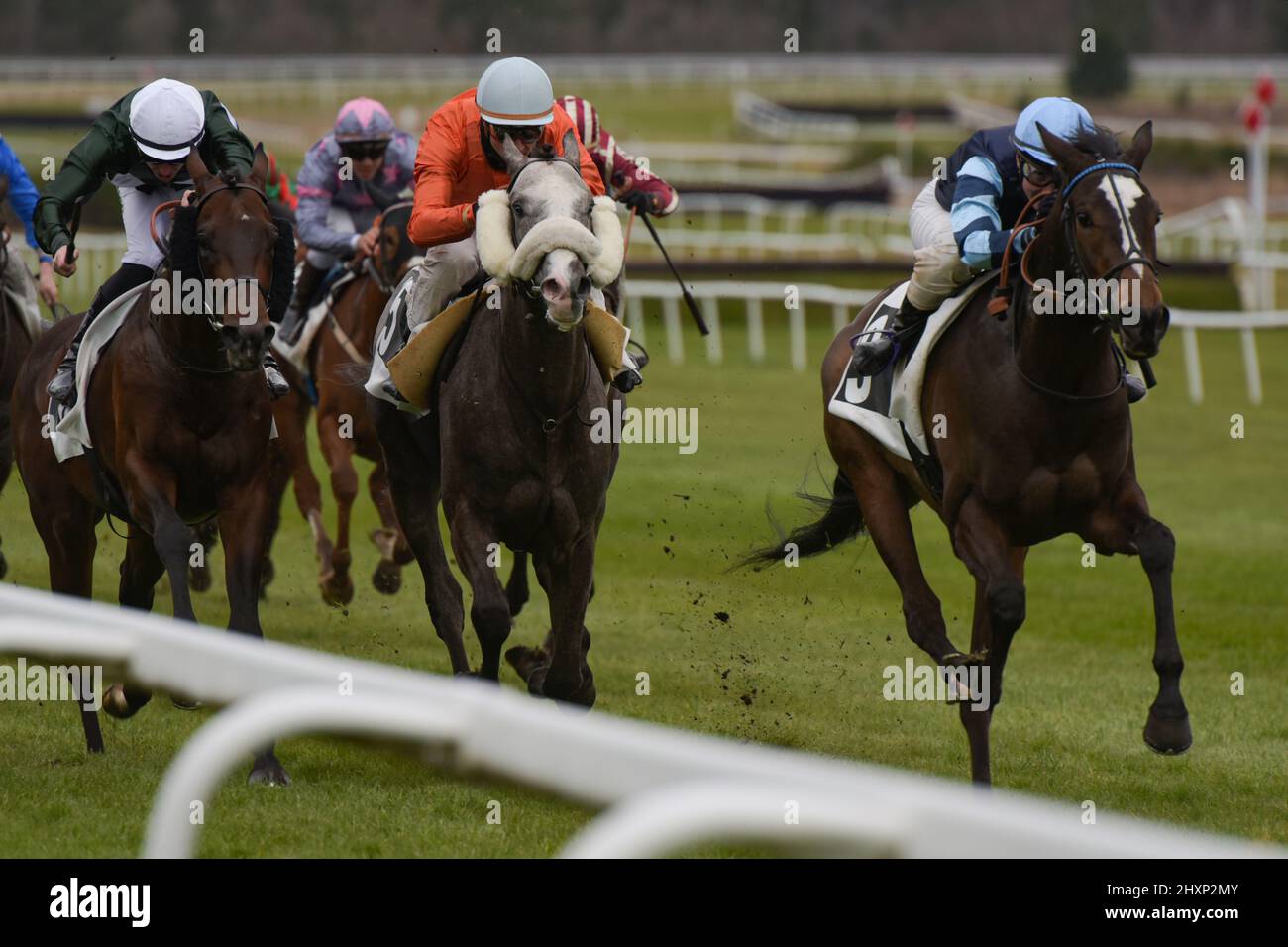 Hippodrome de fontainebleau hi-res stock photography and images - Alamy