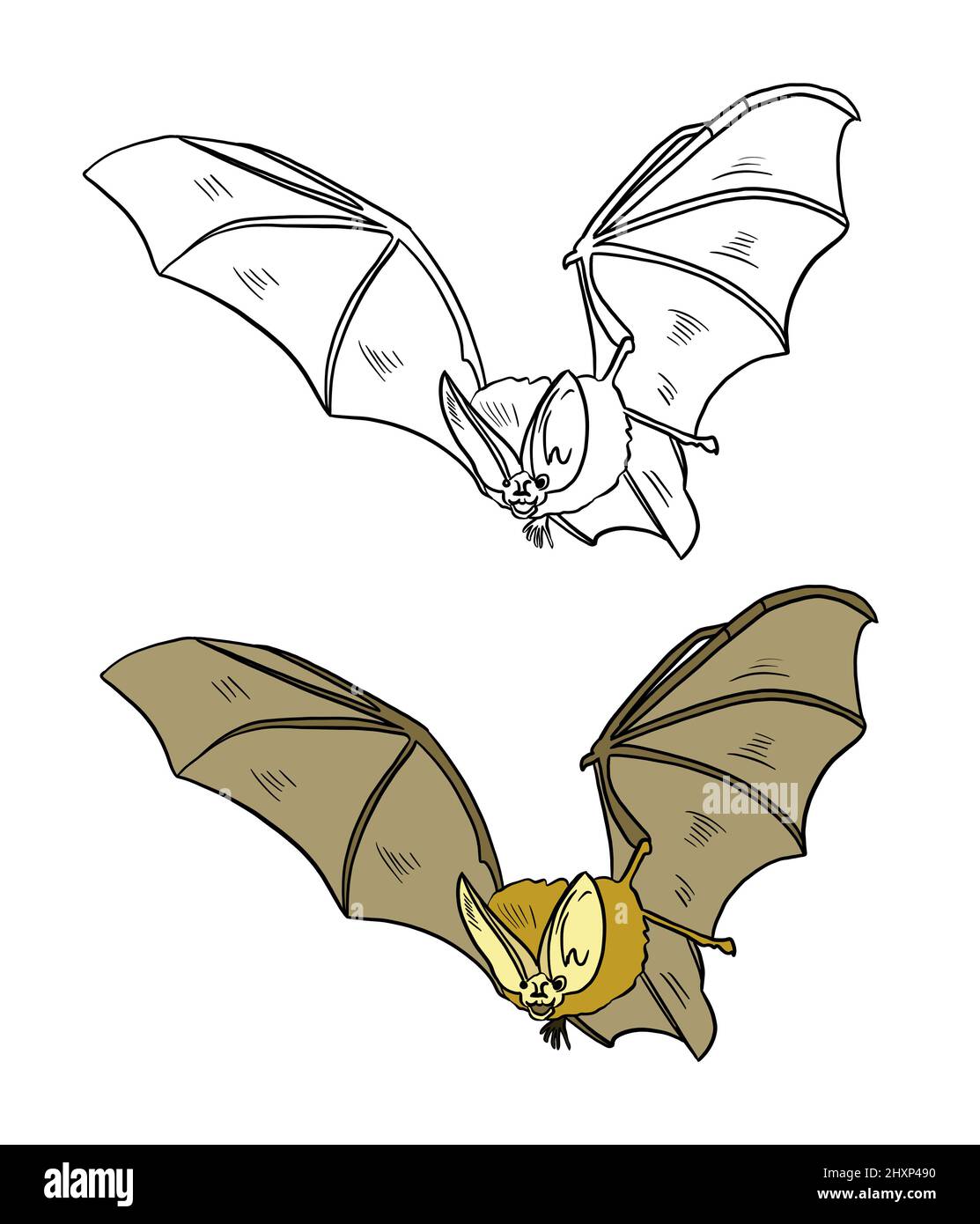 Illustration for a coloring book in color and black and white. Drawing ...