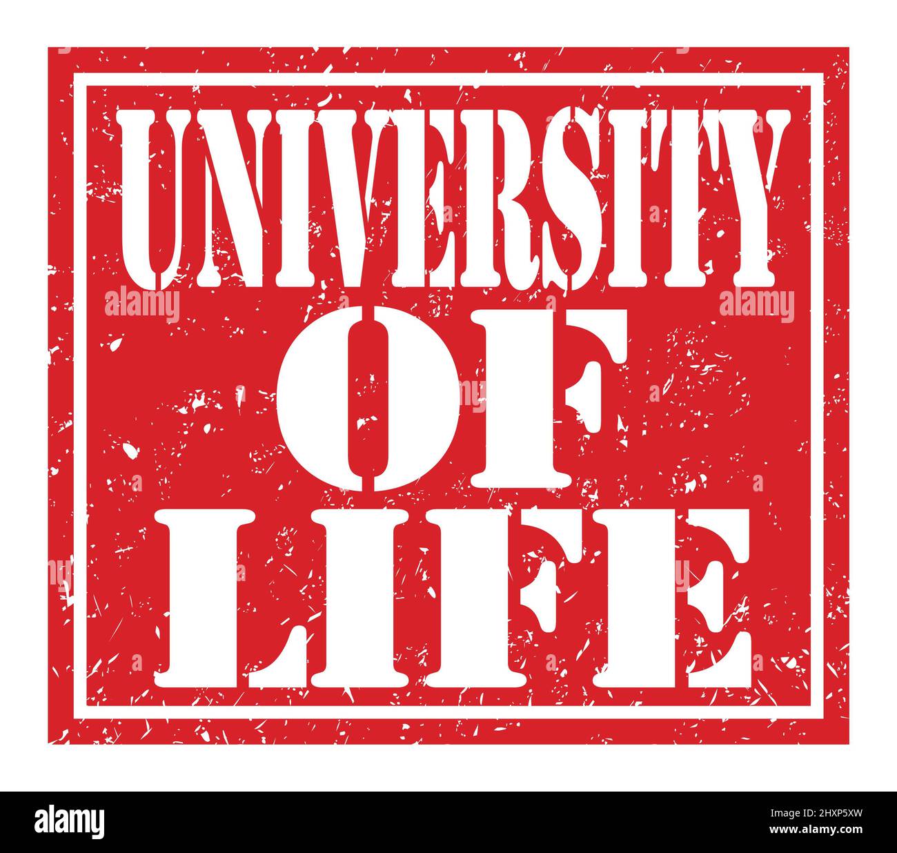 UNIVERSITY OF LIFE, words written on red stamp sign Stock Photo - Alamy