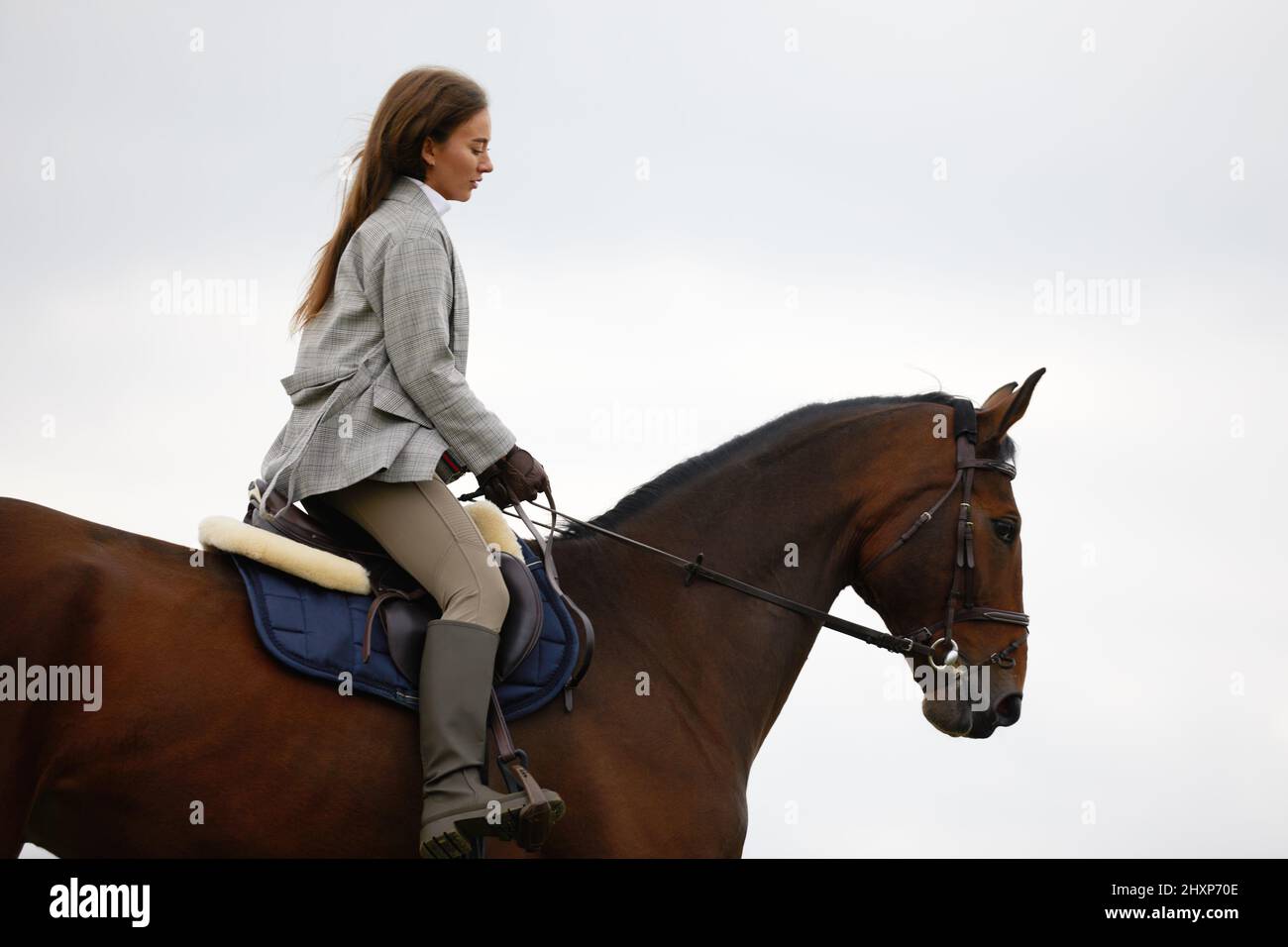 Beautiful young woman riding a horse on the field. Sideways to the ...