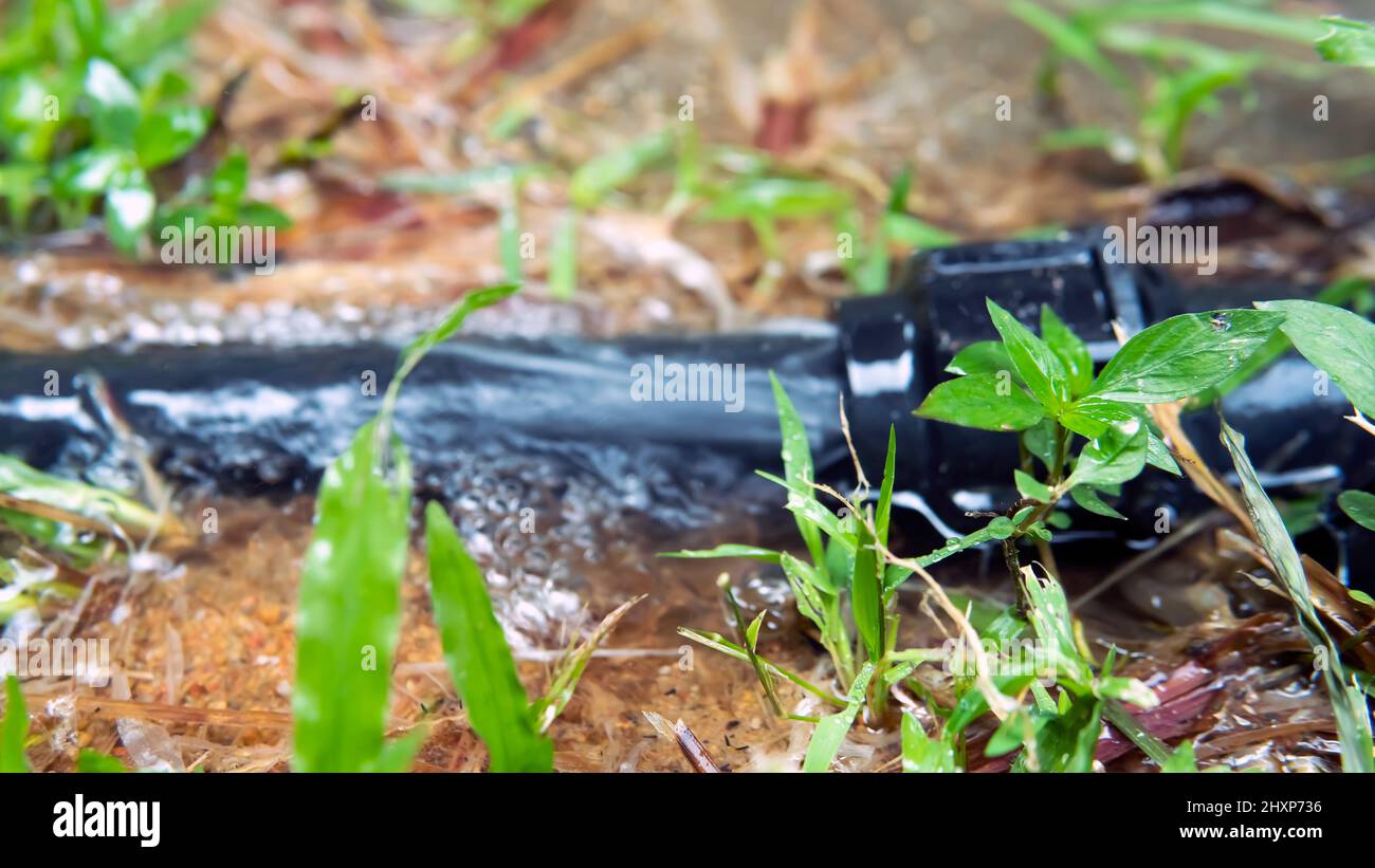 Broken water pipe line . Selective focus on the pipe and water flowing ...
