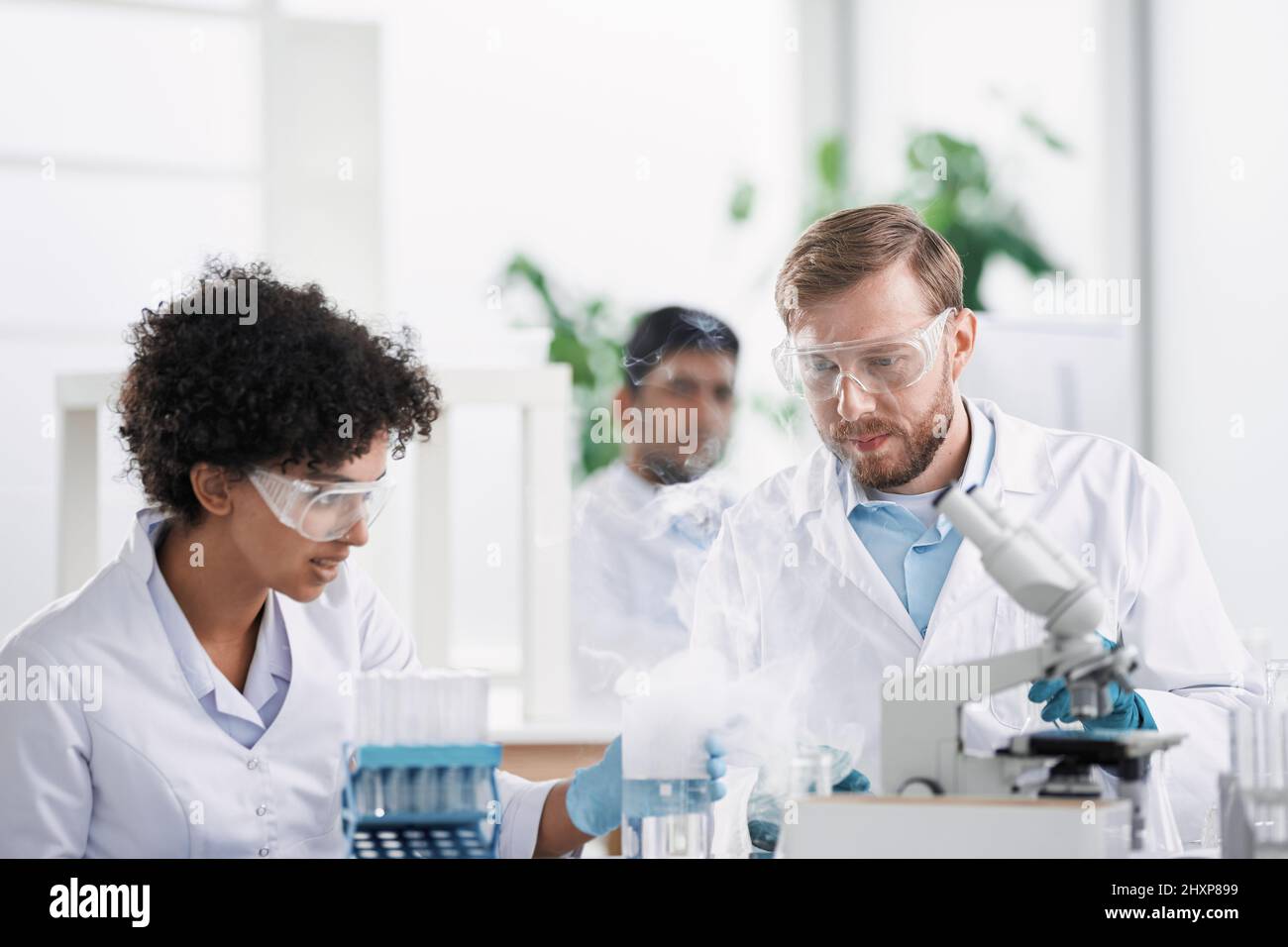 scientists examining control samples in the laboratory Stock Photo - Alamy