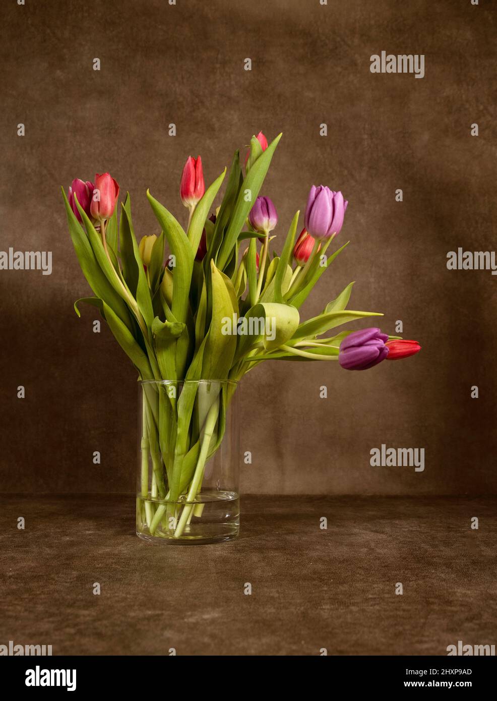 Vse design hi-res stock photography and images - Alamy