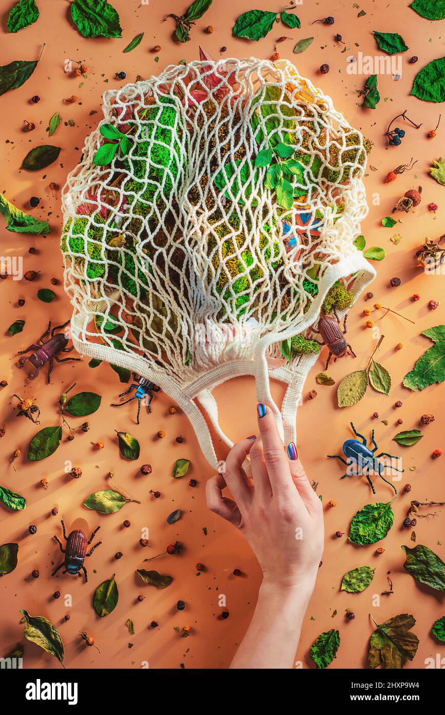 Warm beetles hi-res stock photography and images - Alamy