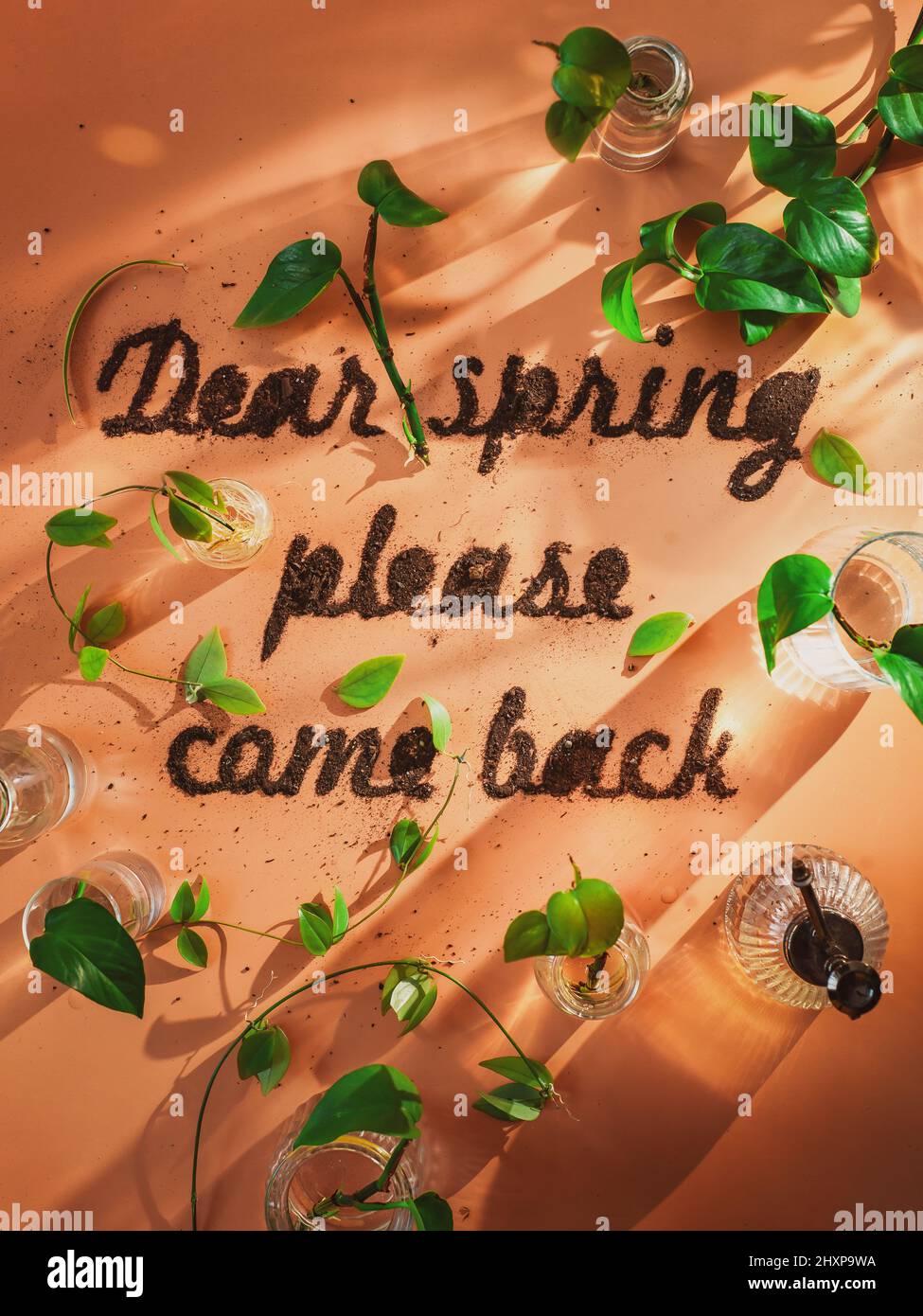 Dear spring spring please come back text made out of soil, real type ...