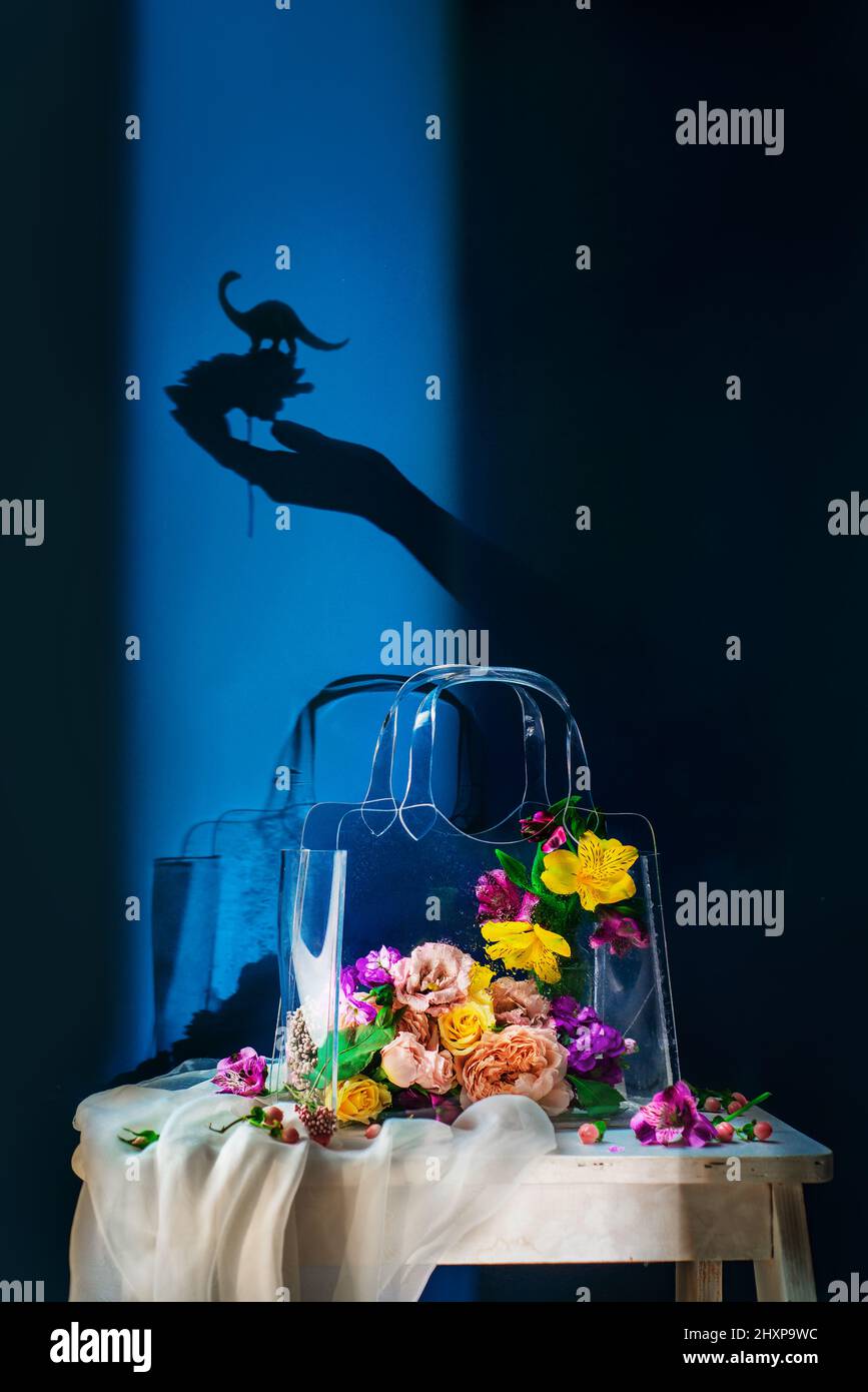 Flowers in a transparent bag, hand shadow with a dinosaur figure, cute ...