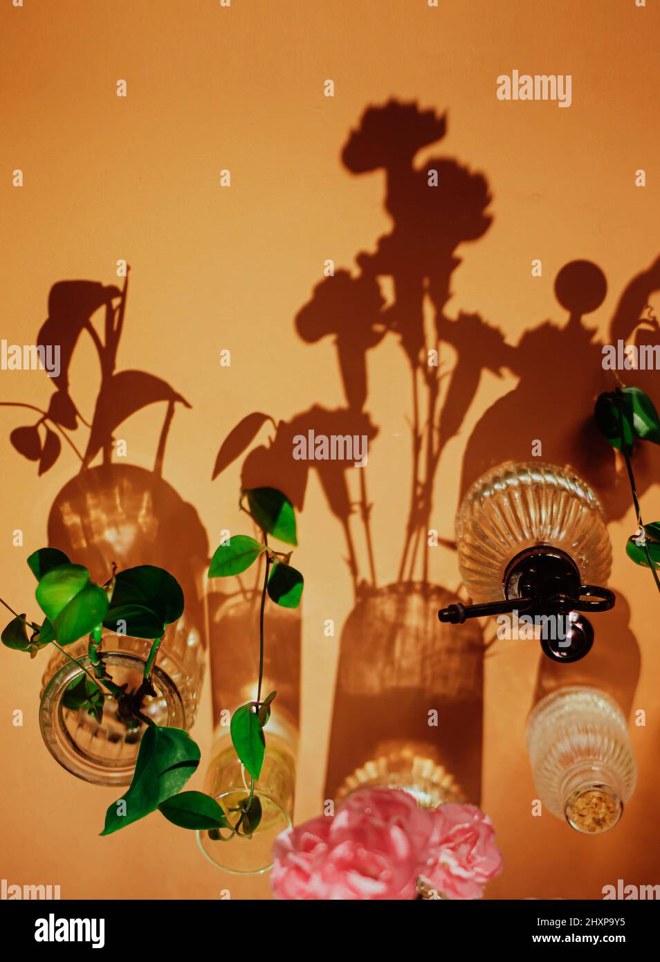 Long shadows, flower composition on a warm background, summer sunset ...