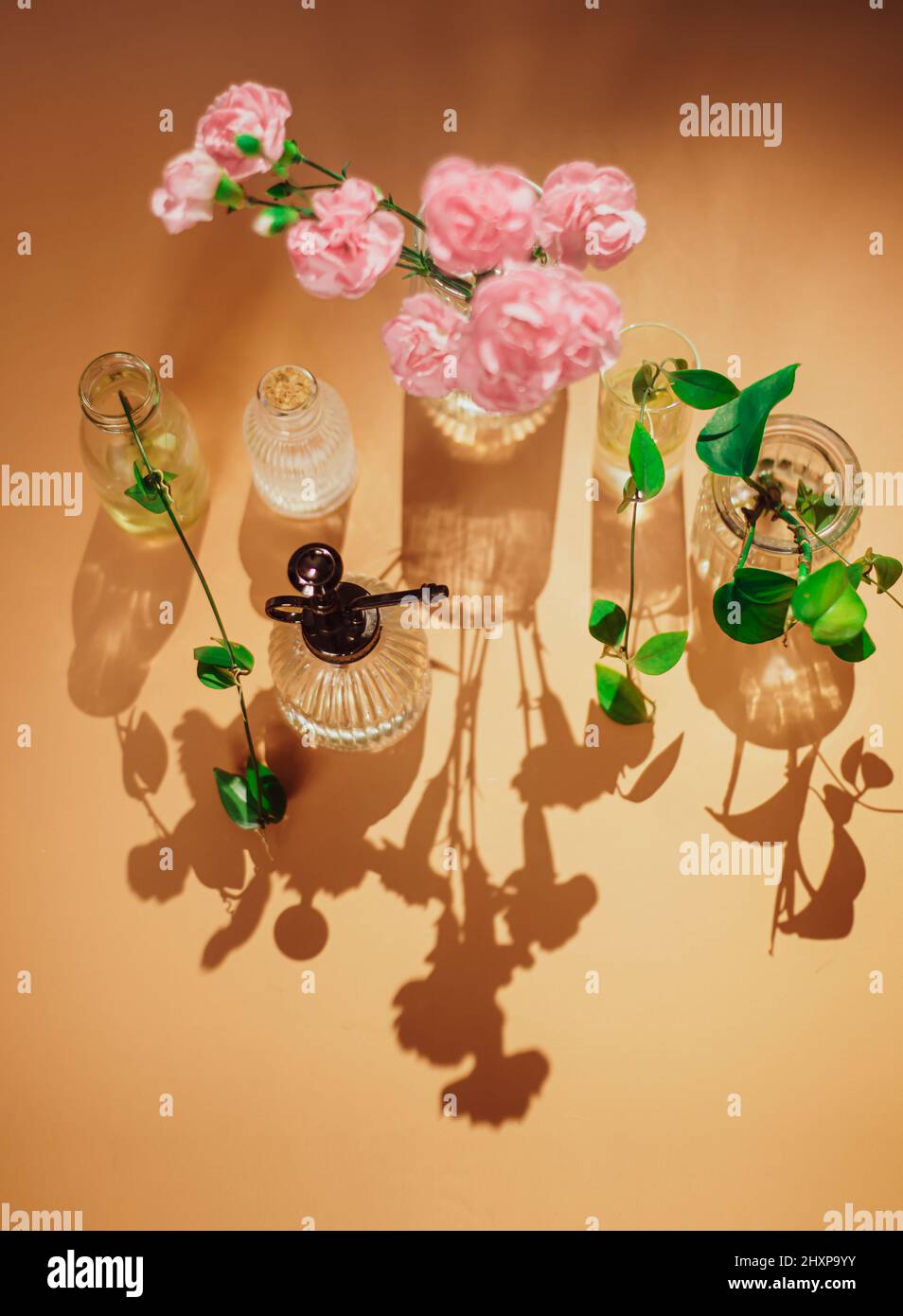 Long shadows, flower composition on a warm background, summer sunset ...