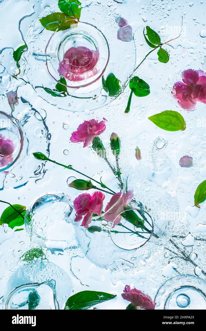Fragile glass and flowers composition, flat lay from below, water ...