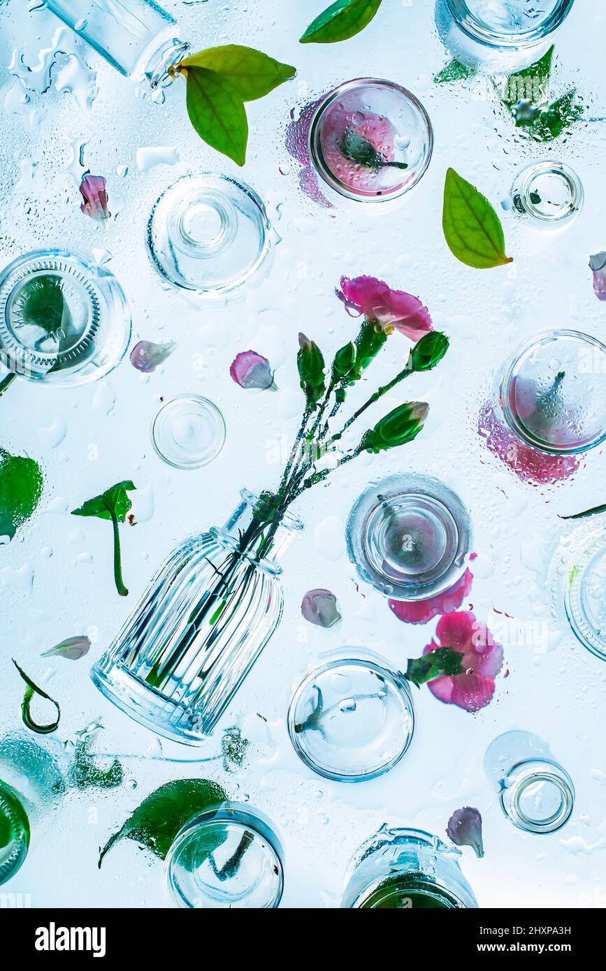 Fragile glass and flowers composition, flat lay from below, water ...