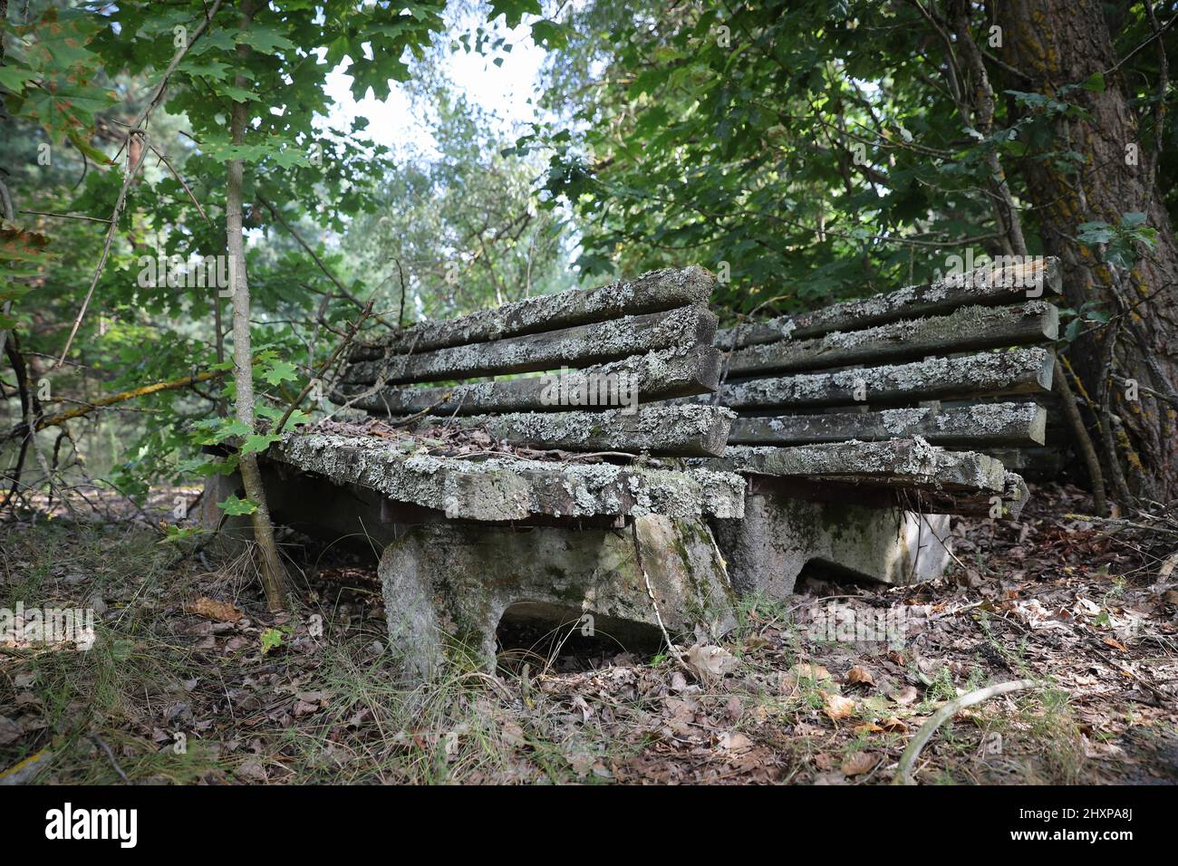 Bench in Pripyat Town, Chernobyl Exclusion Zone, Chernobyl, Ukraine ...