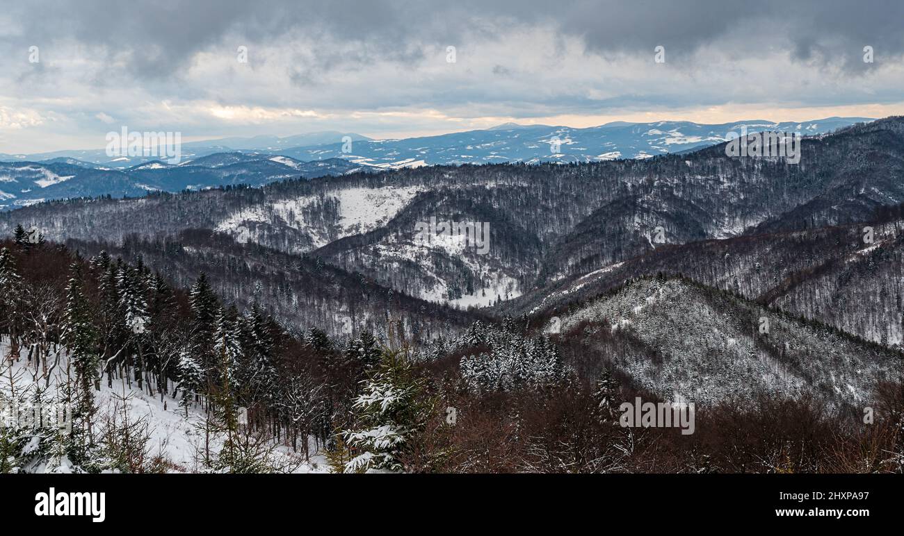 Stara raca hi-res stock photography and images - Alamy