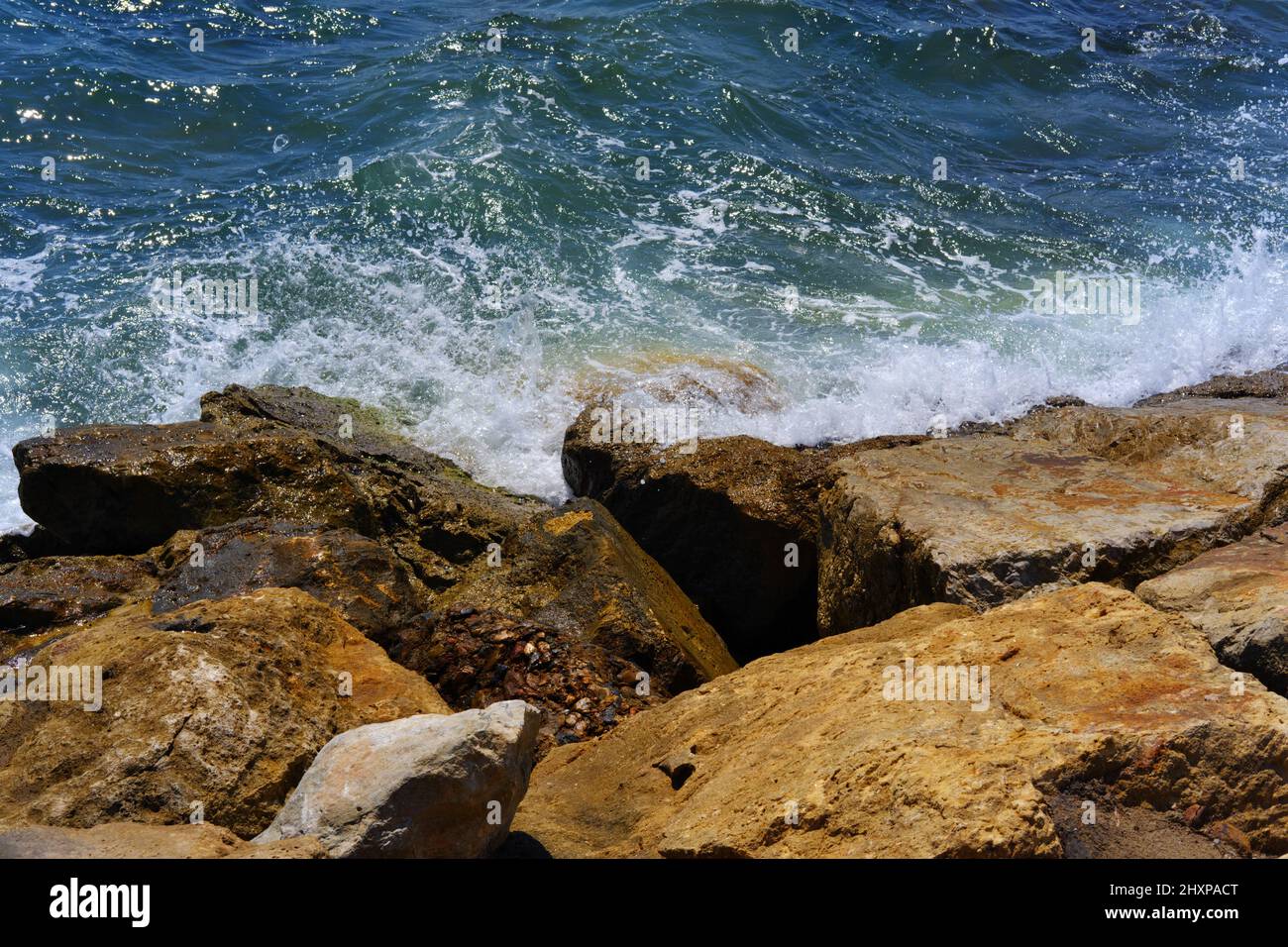 Water seaweed rocks hi-res stock photography and images - Alamy