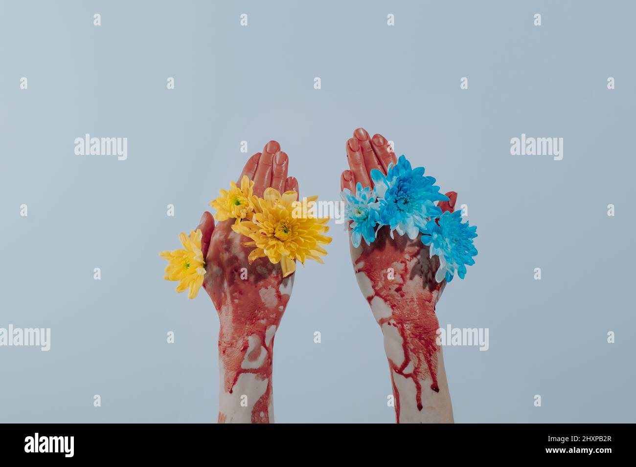 Female hands in blood blooming with blue and yellow flowers. Spring ...