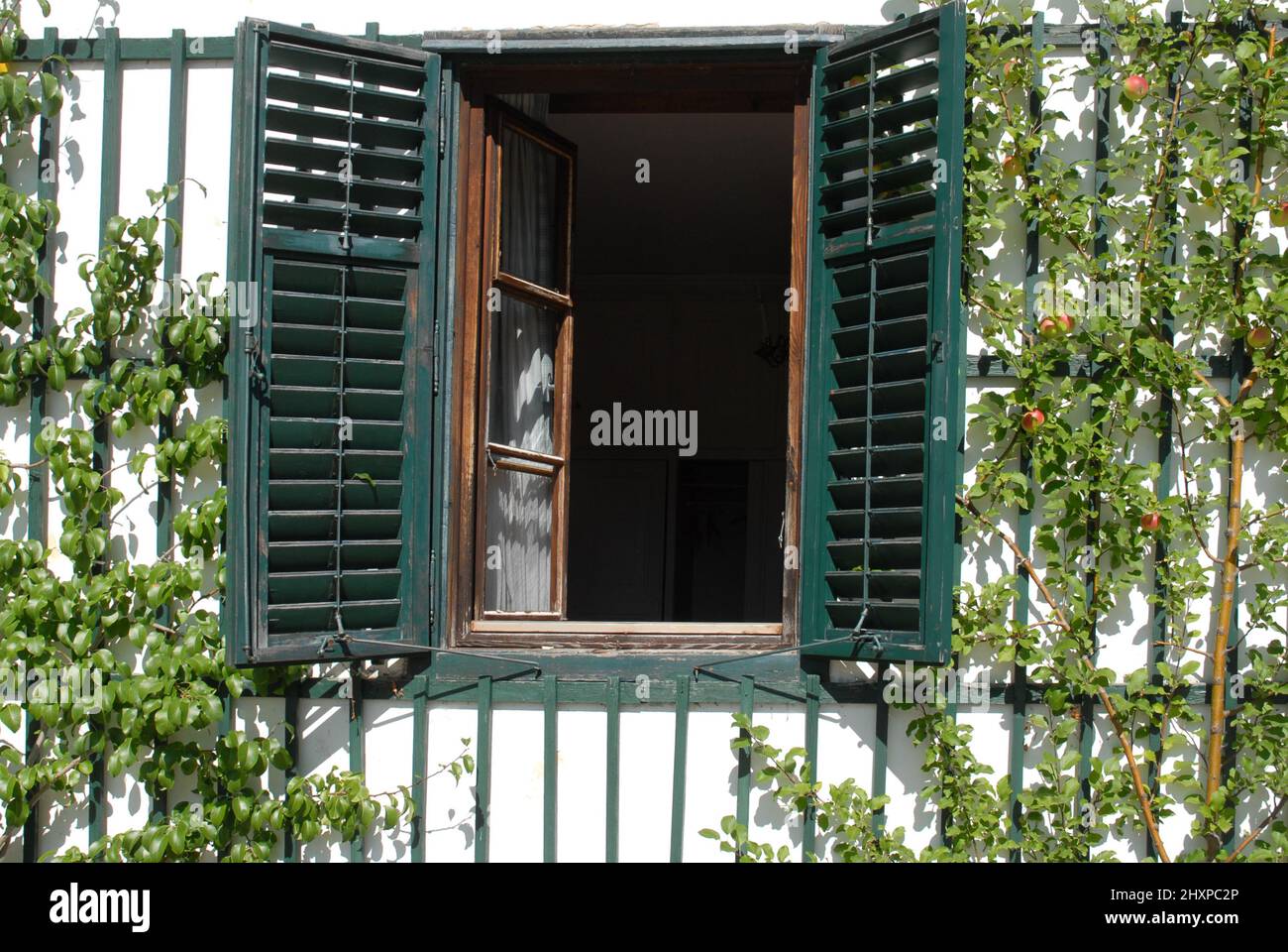 Trellis window hi-res stock photography and images - Alamy