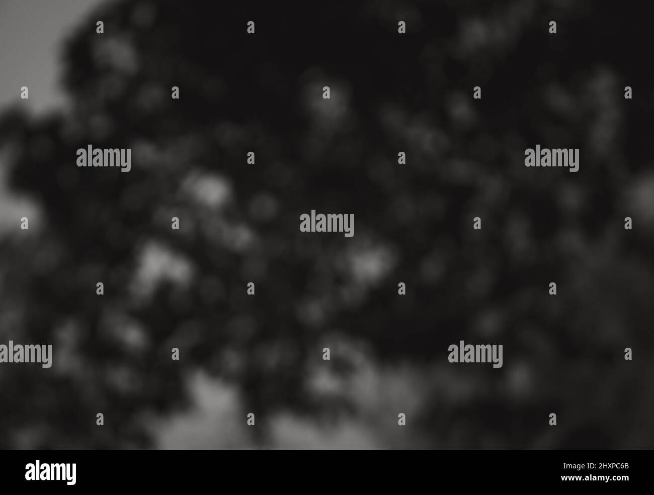 Blurred photo background texture, blur, black and white, full frame ...