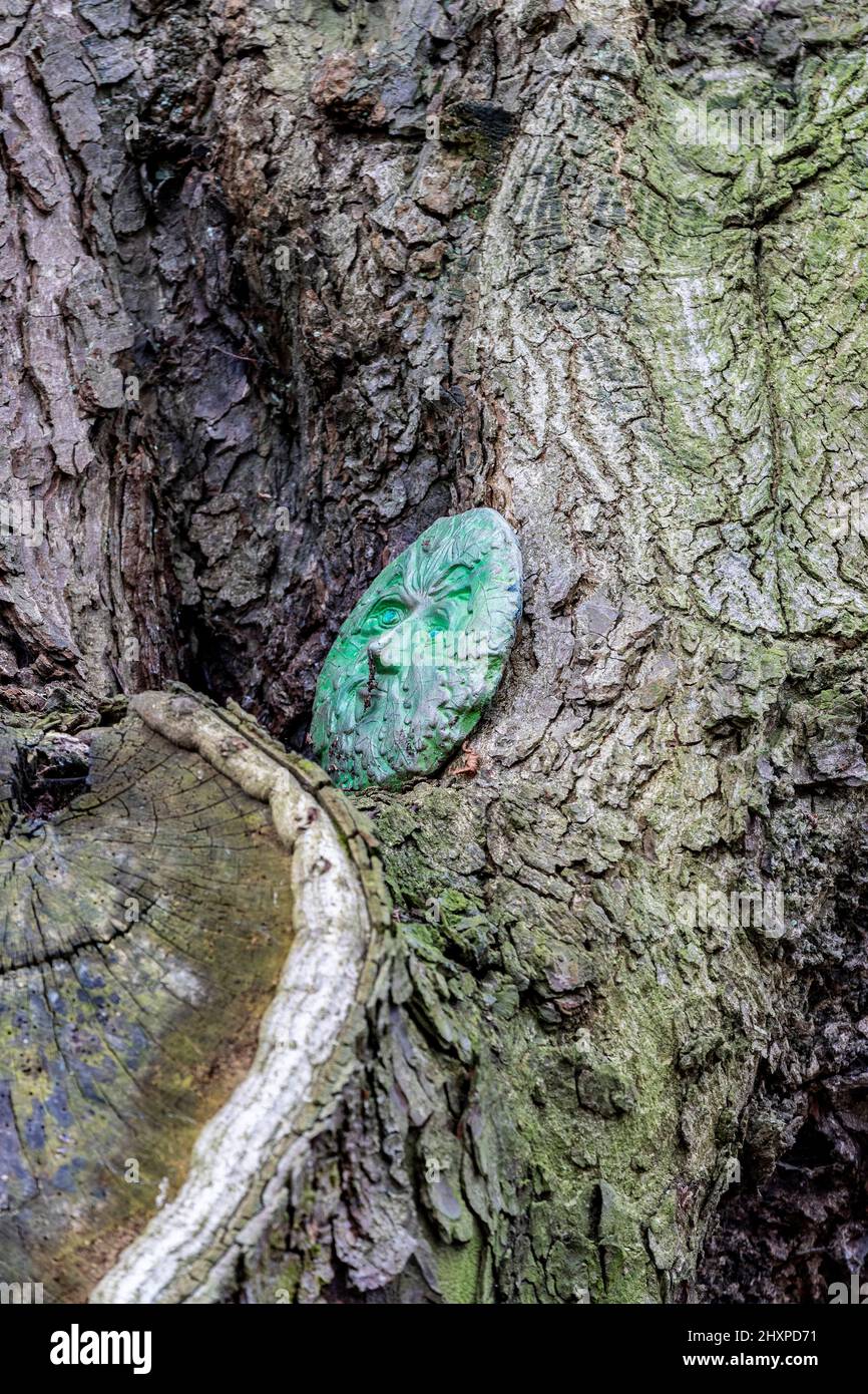 Face tree creativity hi-res stock photography and images - Alamy
