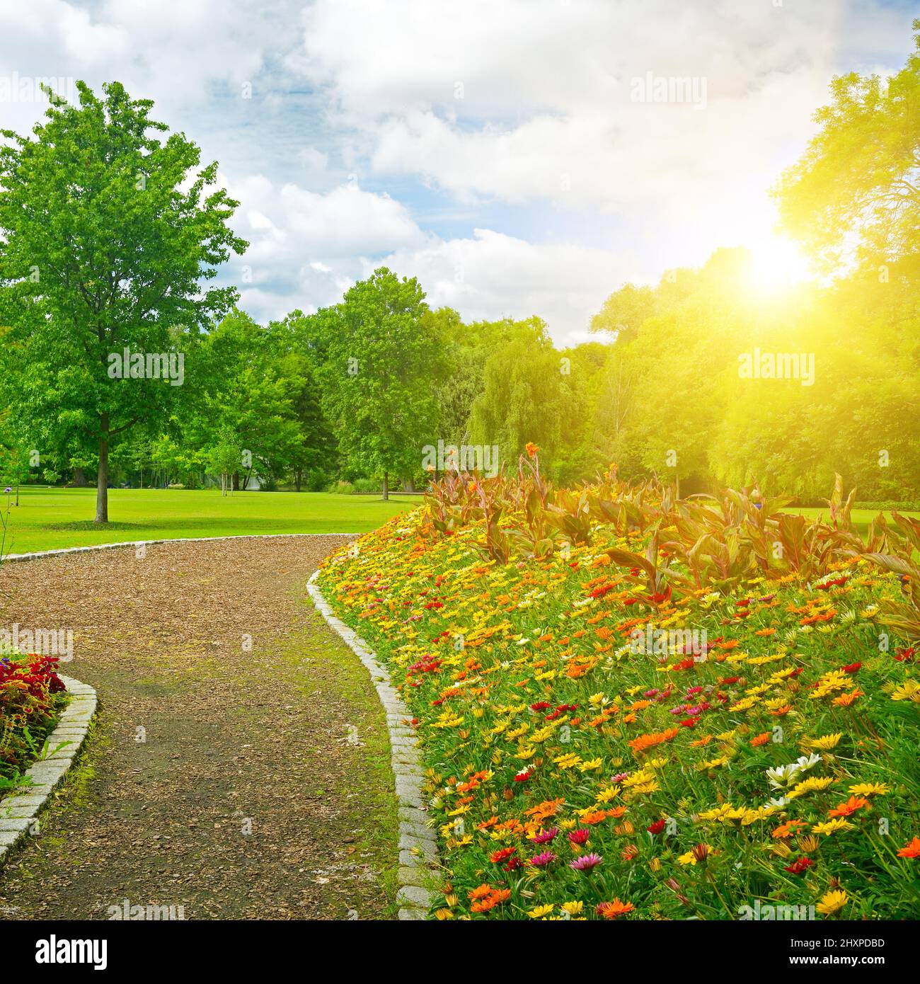 Sunrise over beautiful meadow with flowers and path in the public park ...
