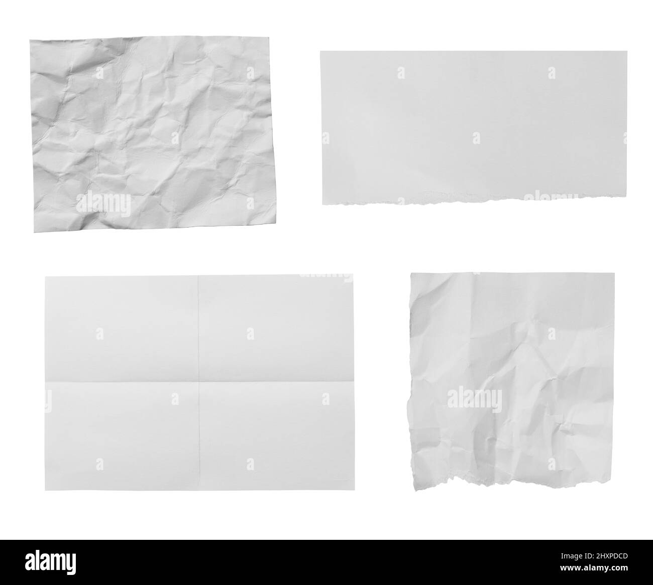 collection of various ripped pieces of paper on white background. each ...
