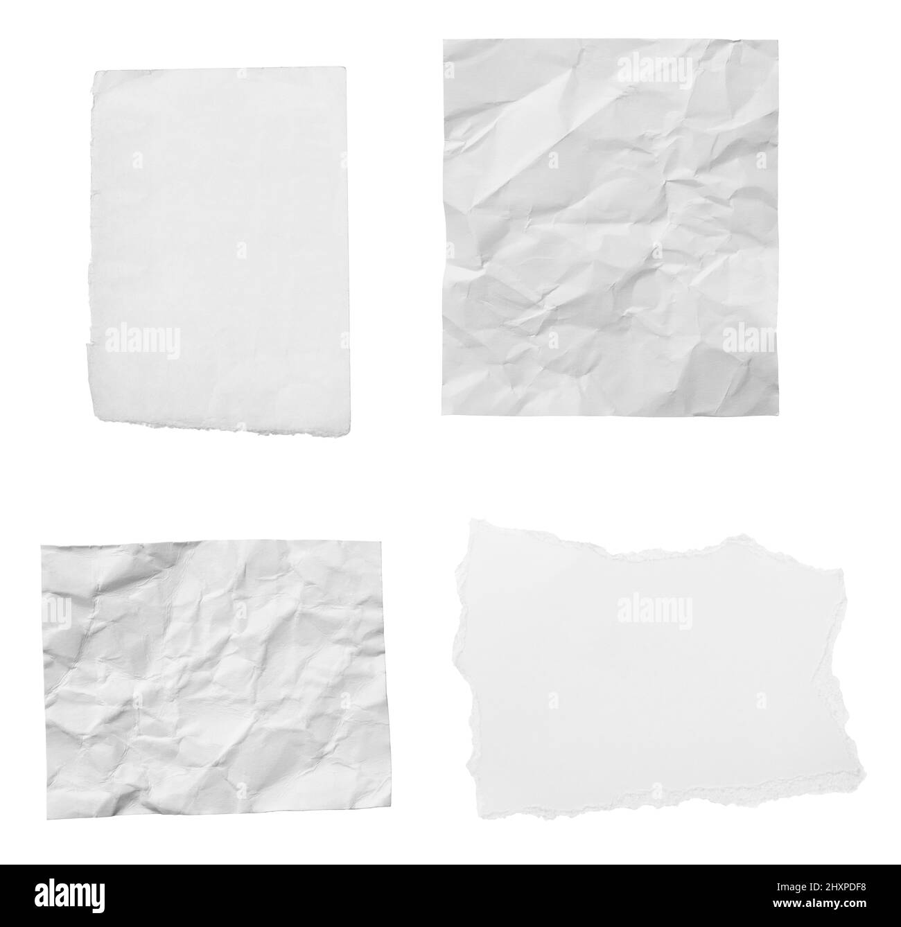 collection of various ripped pieces of paper on white background. each ...