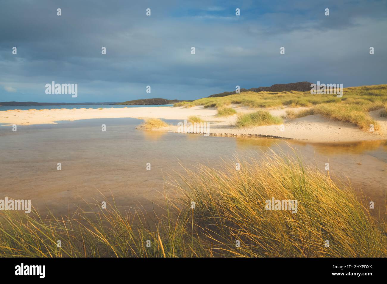 Beautiful golden light on seascape landscape of grassy dunes at Reef ...