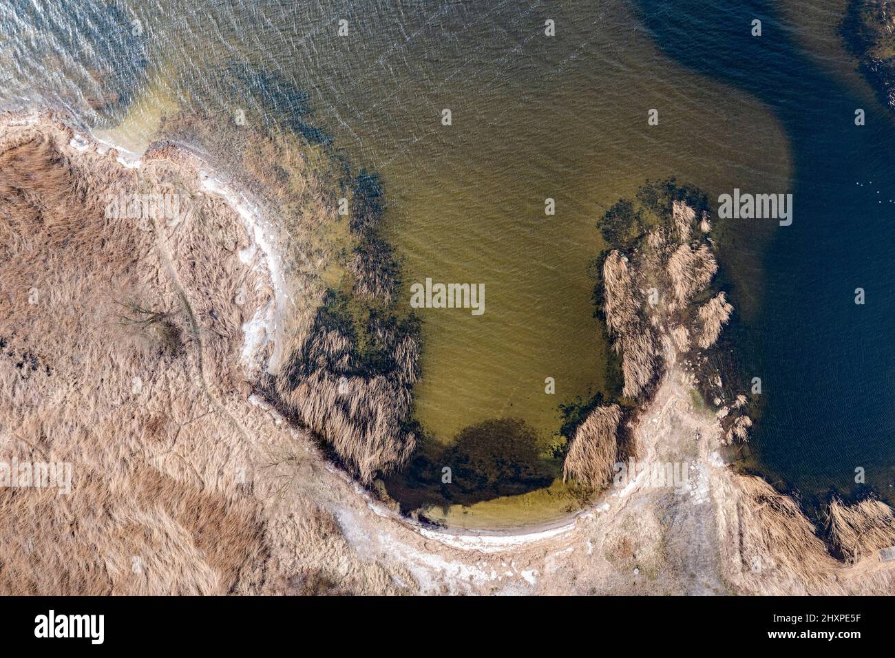 The view from the drone on the thickets by the lake, interesting shapes ...