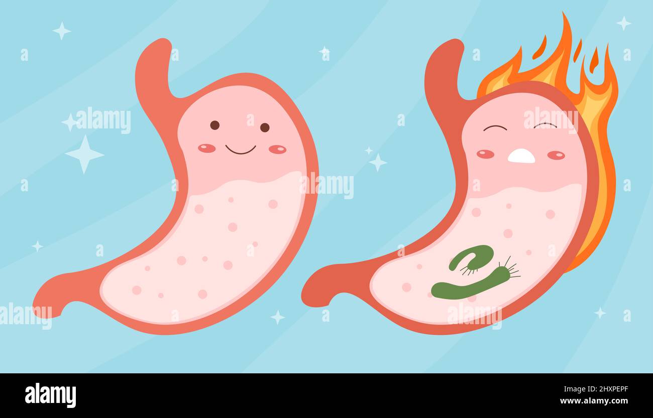 Smiling healthy stomach and sad sick stomach character Stock Vector ...