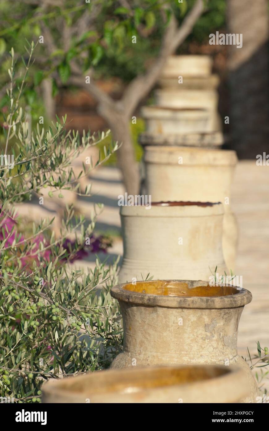 Amphoraes in a row hi-res stock photography and images - Alamy