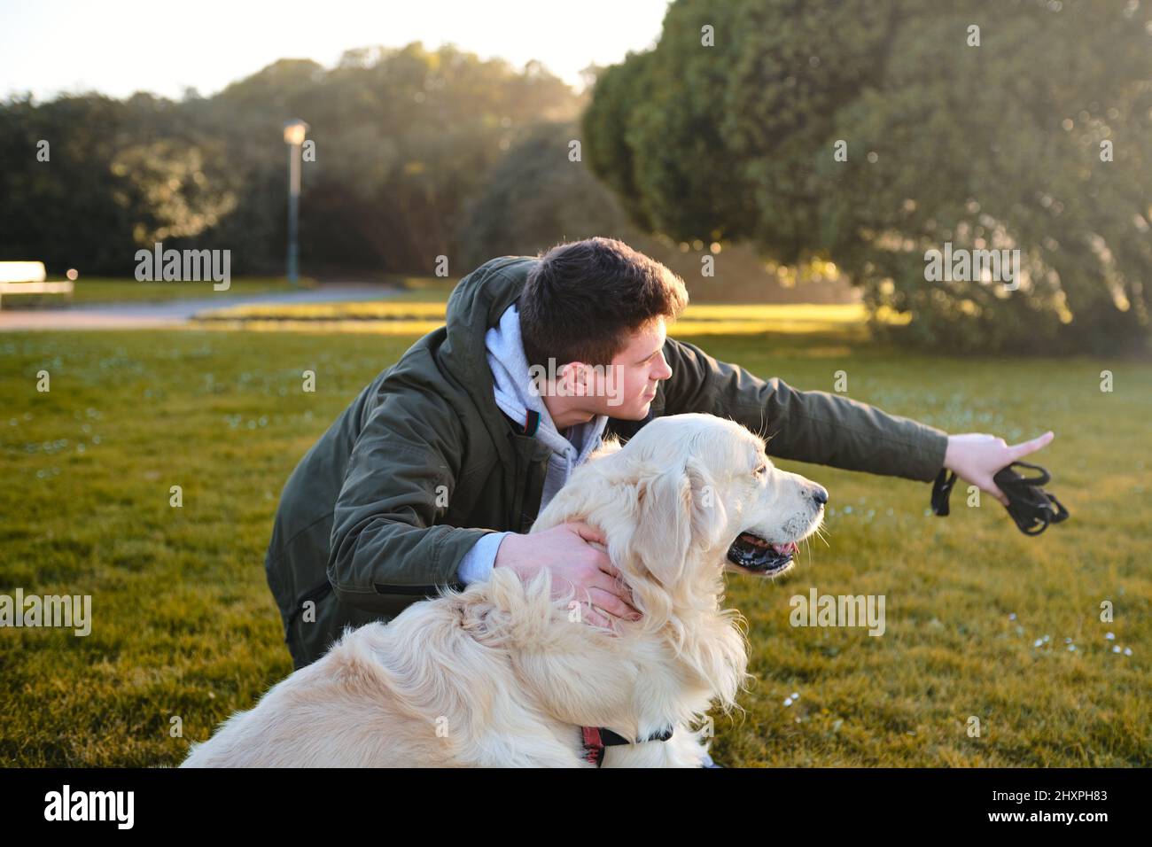 Golden Retrievers Pointing
