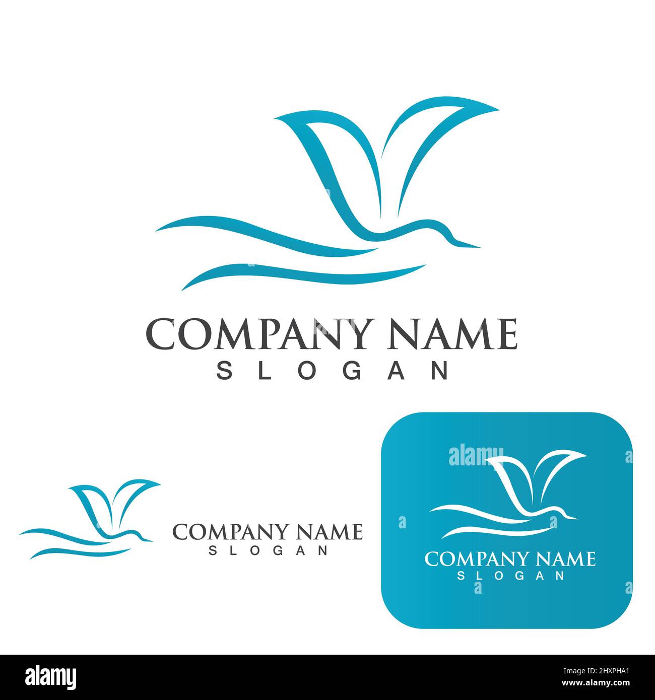 Bird wing Dove Logo Template vector illustration Stock Vector Image ...