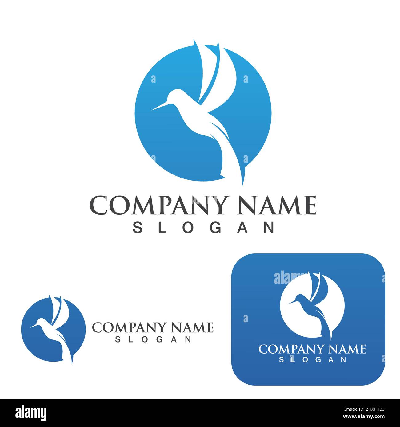 Bird wing Dove Logo Template vector illustration Stock Vector Image ...
