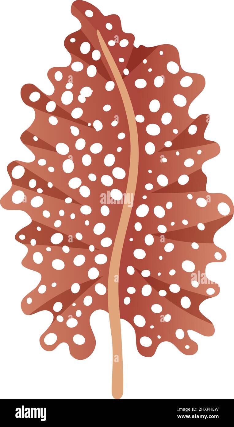 Brown algae and seaweed Stock Vector Images - Alamy