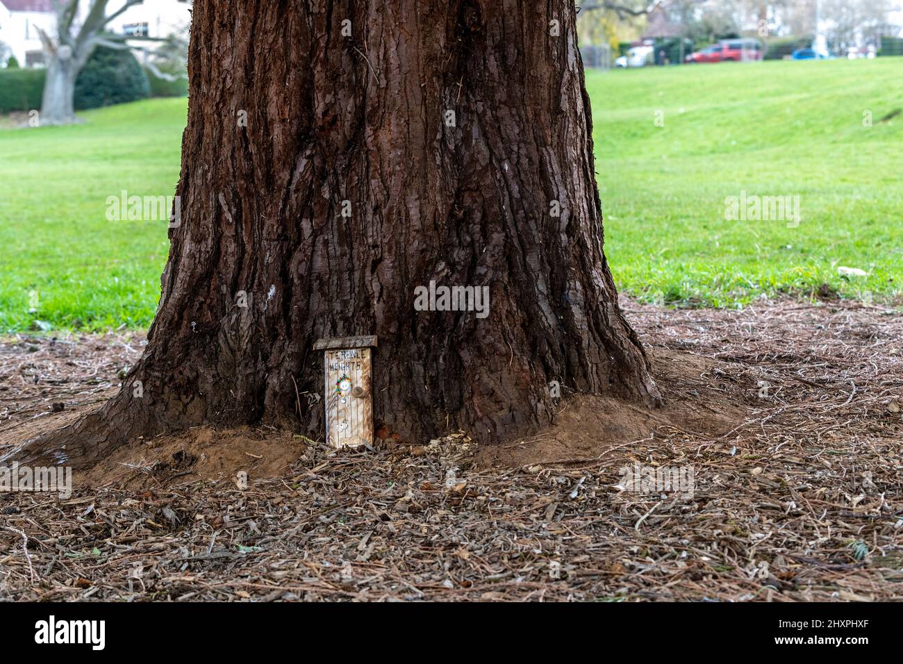 Unrealistic creation hi-res stock photography and images - Alamy