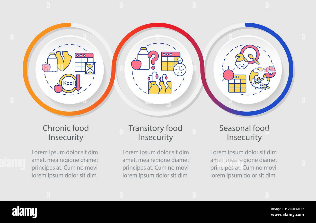 Types of food insecurity loop infographic template Stock Vector Image ...