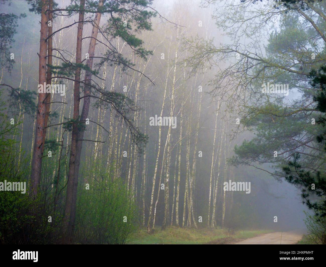 Etheral landscape hi-res stock photography and images - Alamy