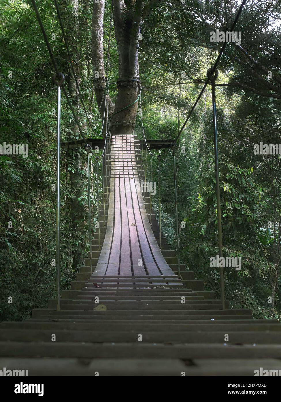 Rope hanging suspension bridge in hi-res stock photography and images ...