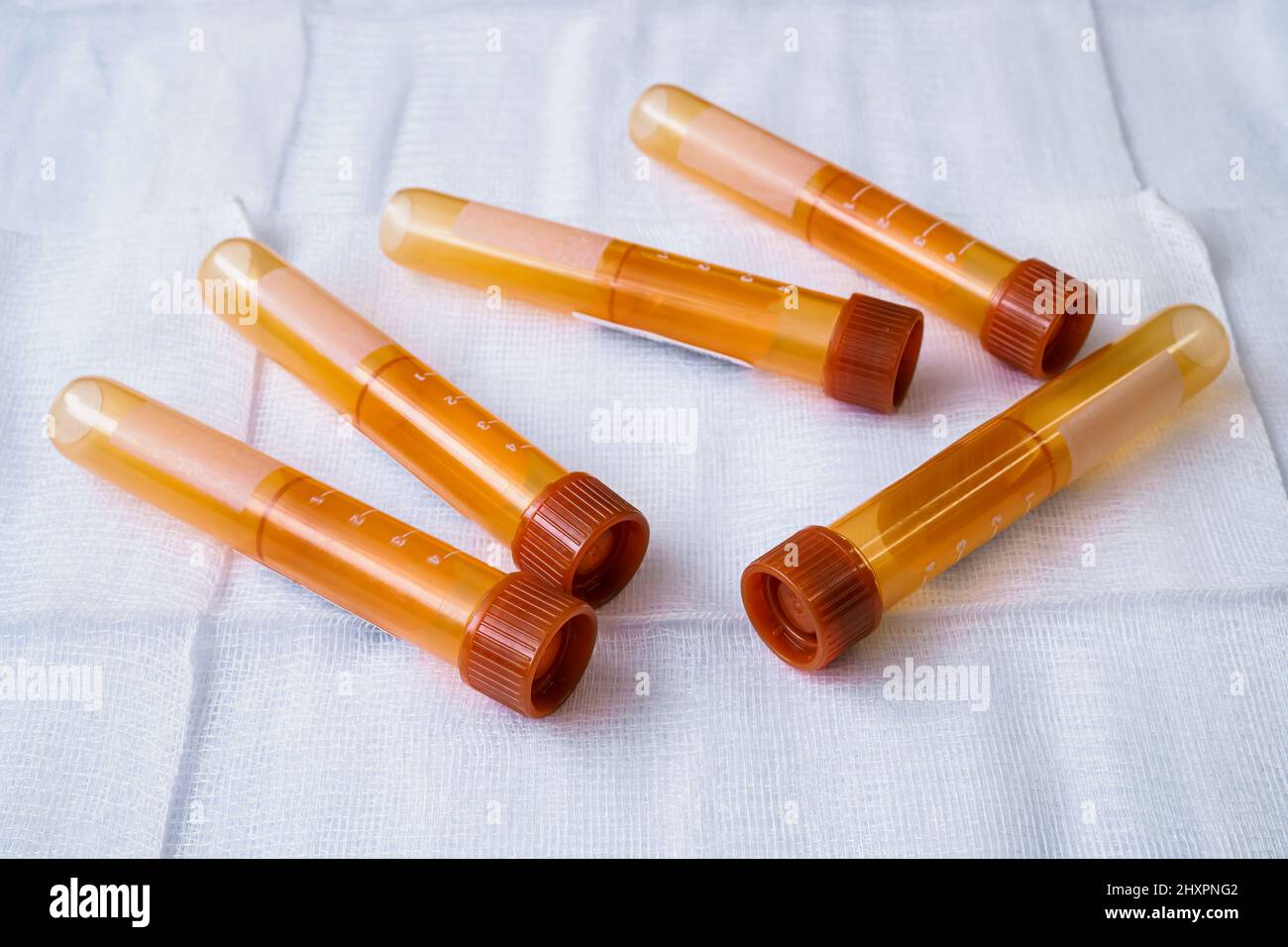 Plastic test tubes with caps for the collection of samples. Blood ...